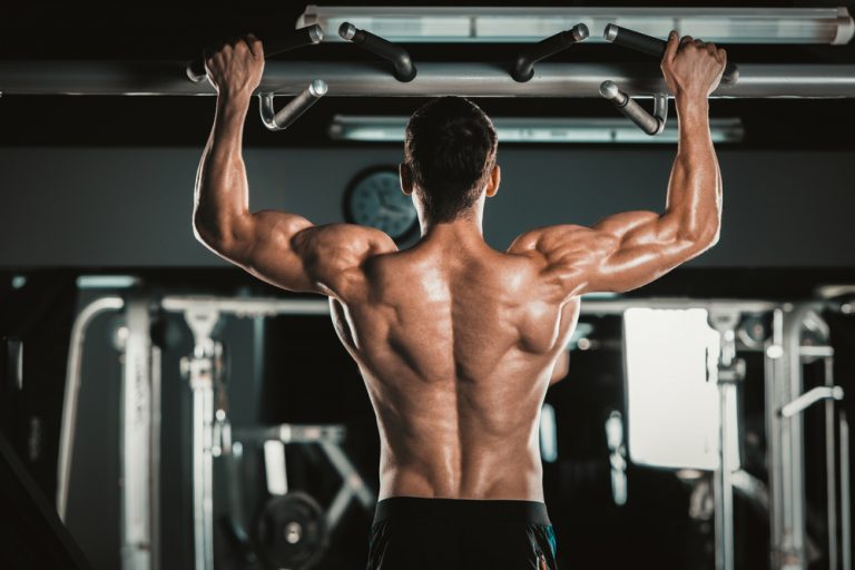 What Muscles Do Pull-Ups Work?